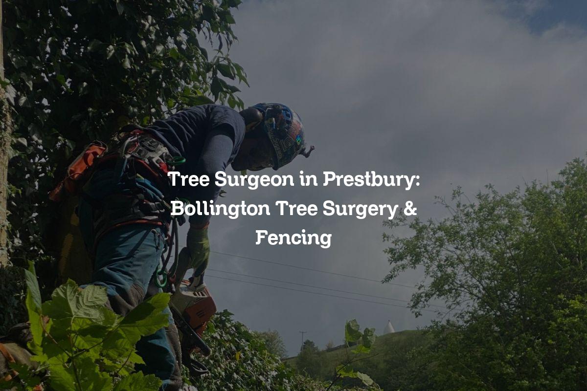Tree Surgeon in Prestbury: Bollington Tree Surgery & Fencing
