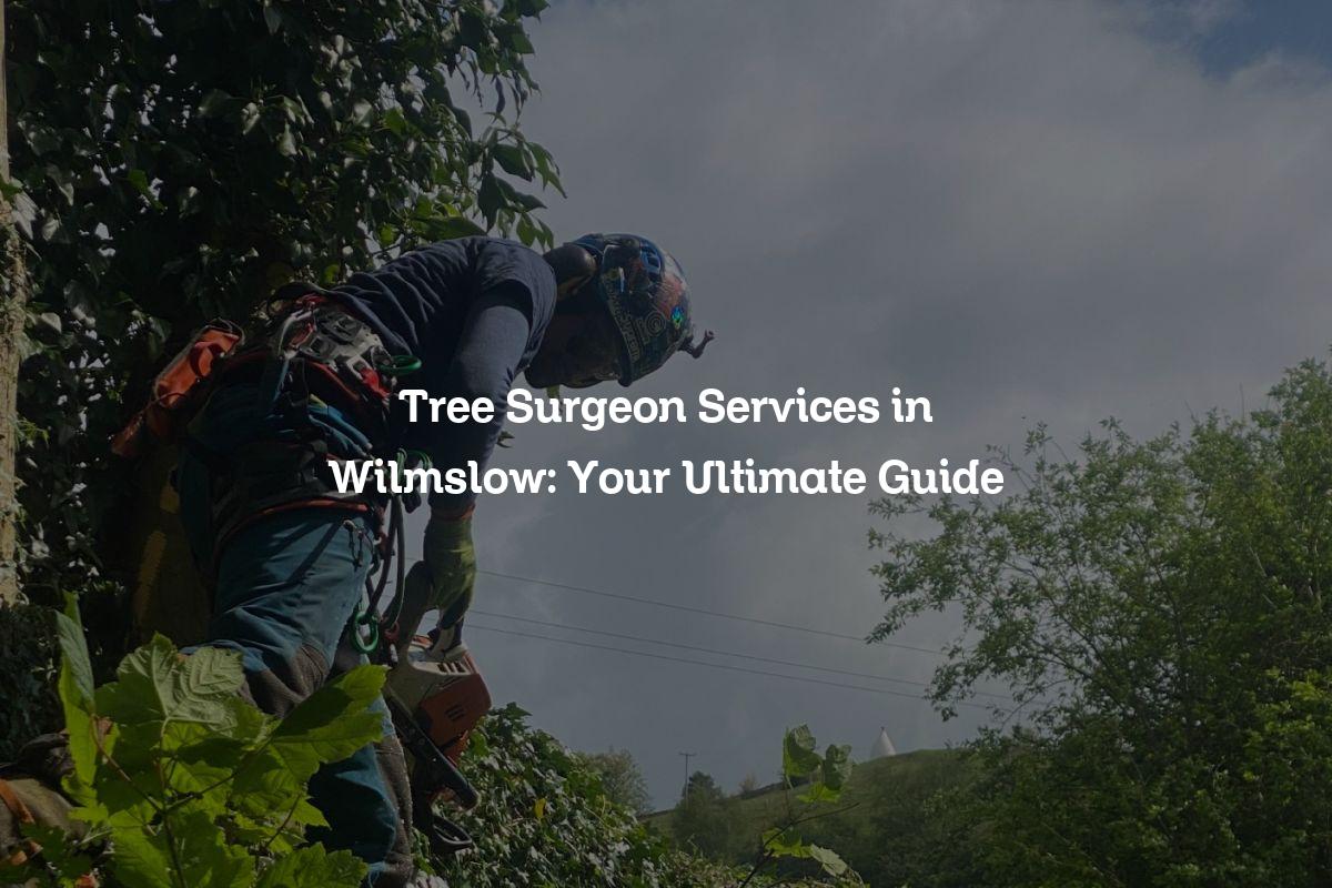 Tree Surgeon Services in Wilmslow: Your Ultimate Guide