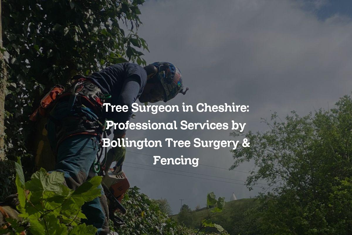 Tree Surgeon in Cheshire: Professional Services by Bollington Tree ...