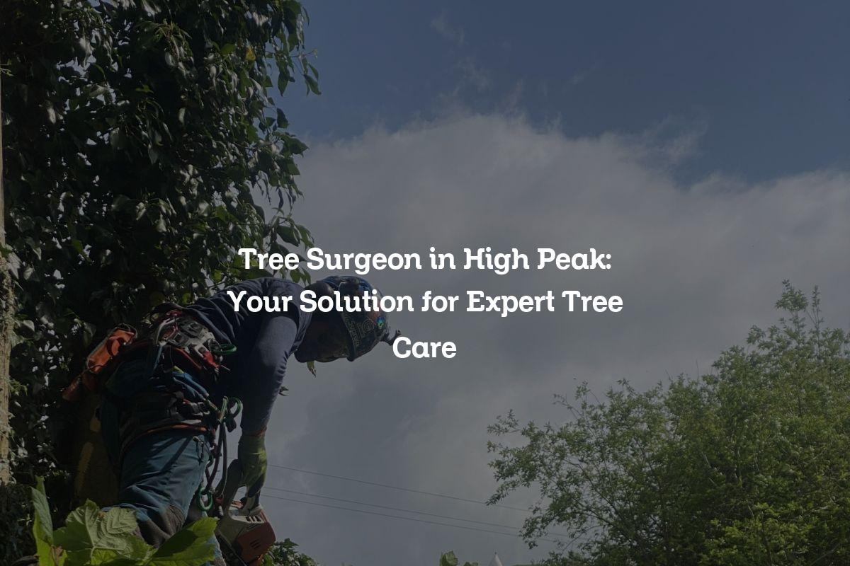 Tree Surgeon in High Peak: Your Solution for Expert Tree Care