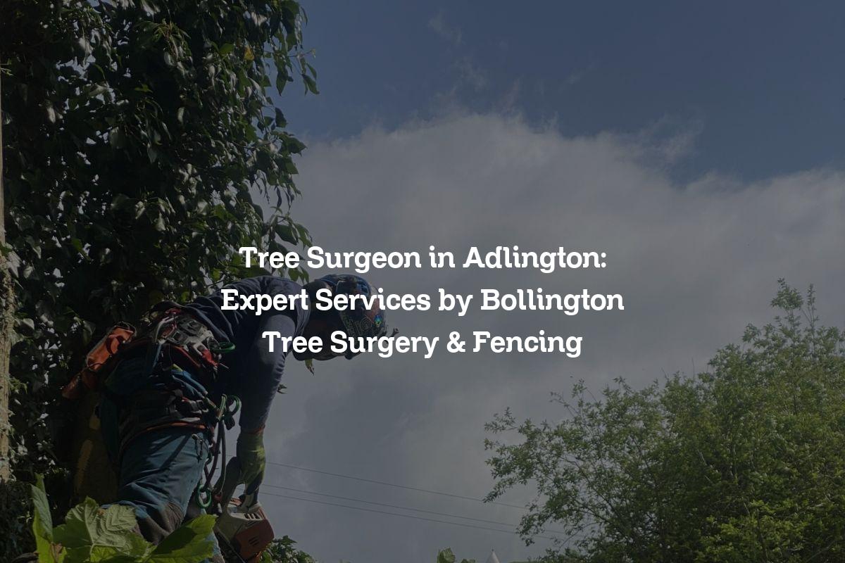 Tree Surgeon in Adlington: Expert Services by Bollington Tree Surgery ...