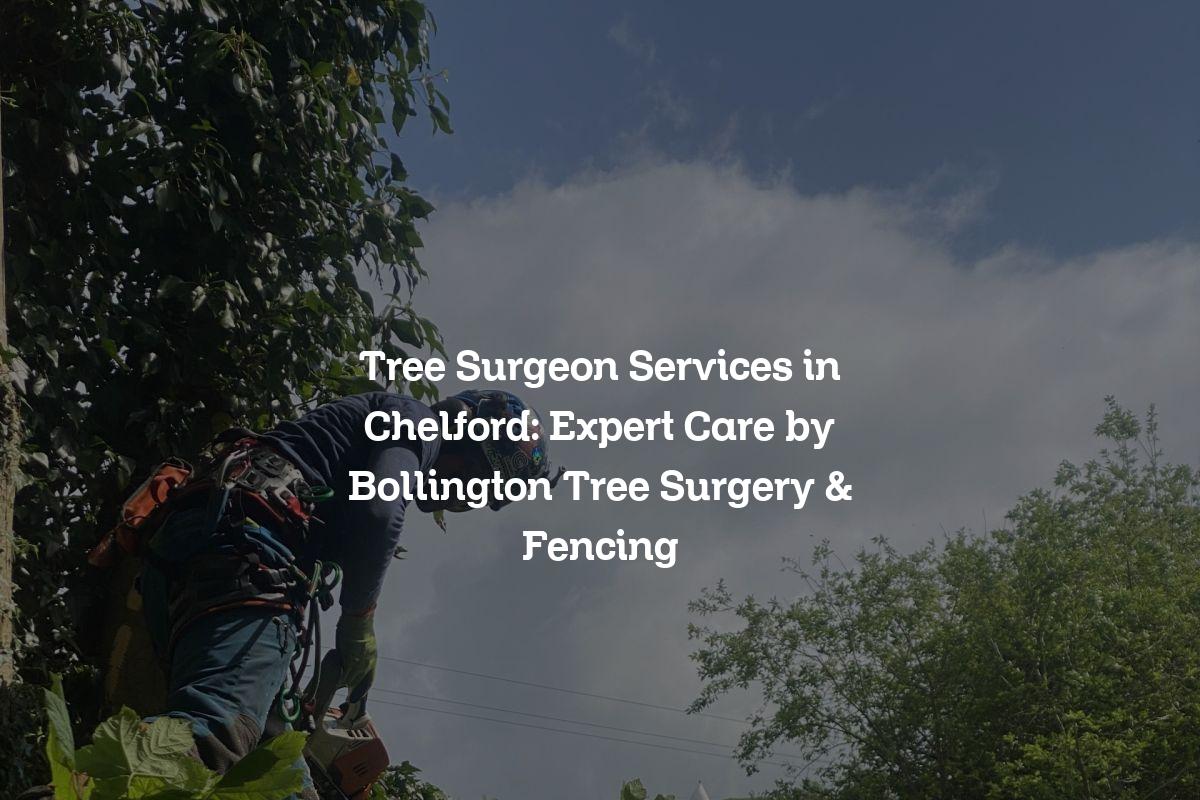 Tree Surgeon Services in Chelford: Expert Care by Bollington Tree ...