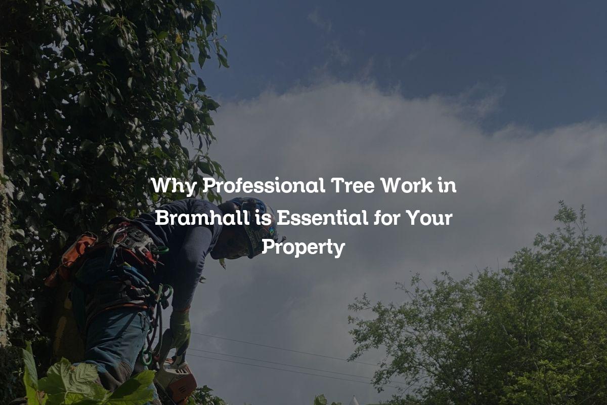 Why Professional Tree Work in Bramhall is Essential for Your Property