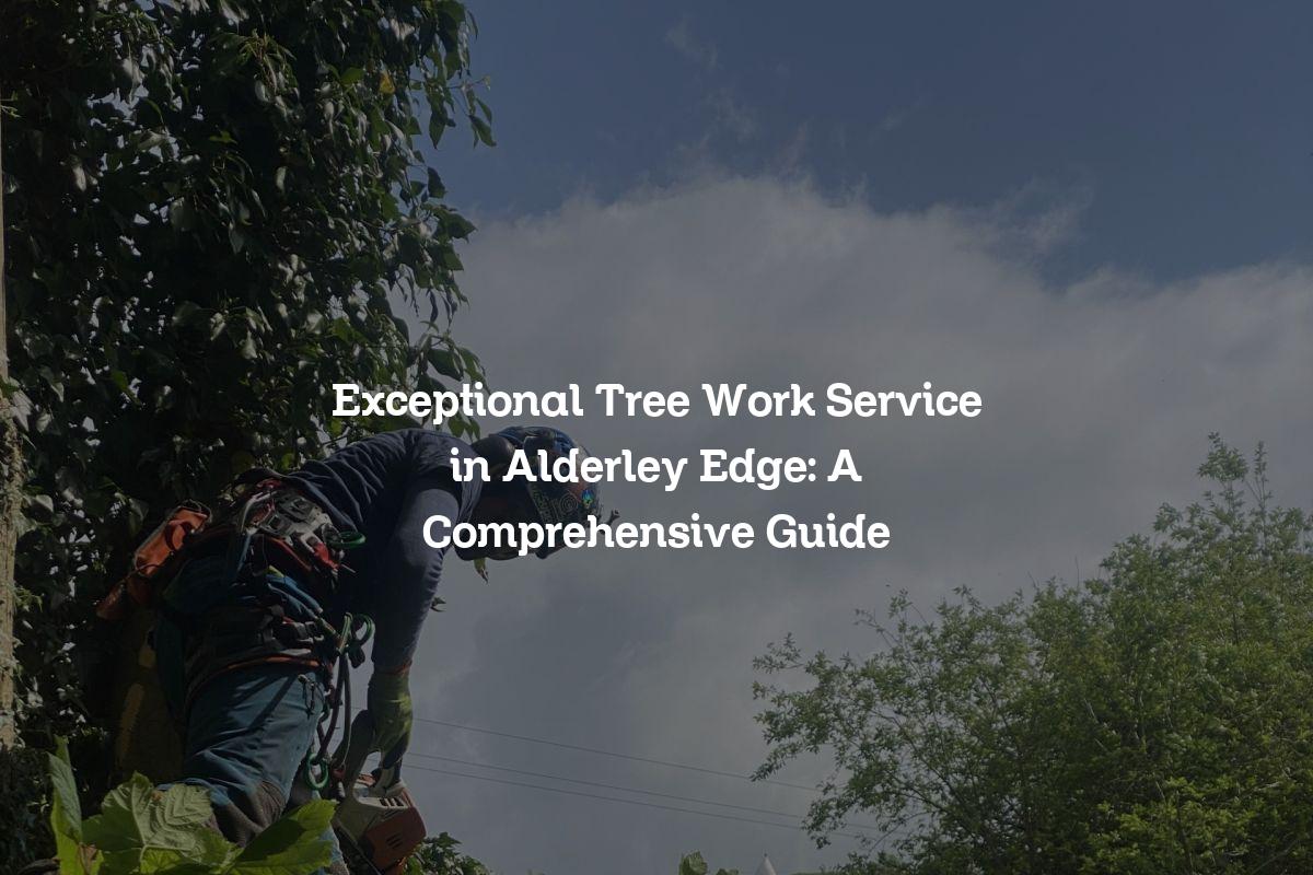 Exceptional Tree Work Service in Alderley Edge: A Comprehensive Guide