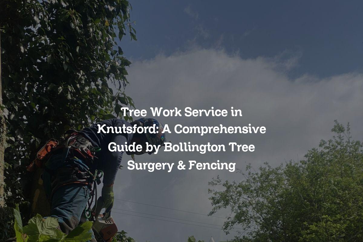 Tree Work Service in Knutsford: A Comprehensive Guide by Bollington ...