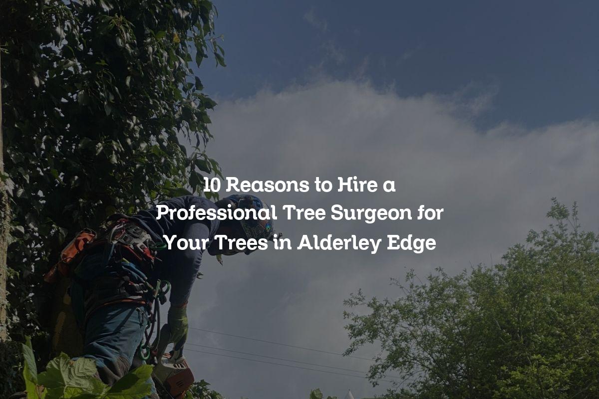 10 Reasons to Hire a Professional Tree Surgeon for Your Trees in ...